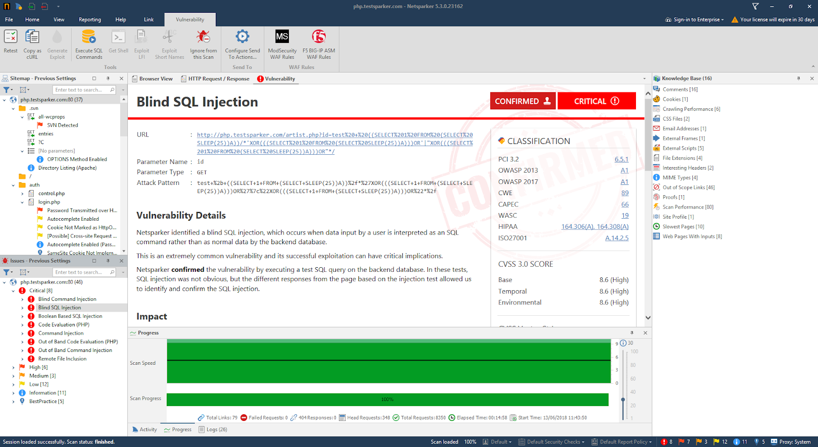 Viewing Issues in Invicti Standard | Invicti