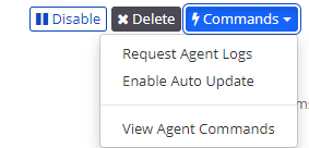 Installing Internal Agents | Invicti